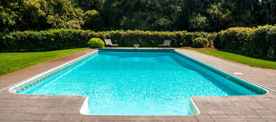 Mosquito Larvae In Pool